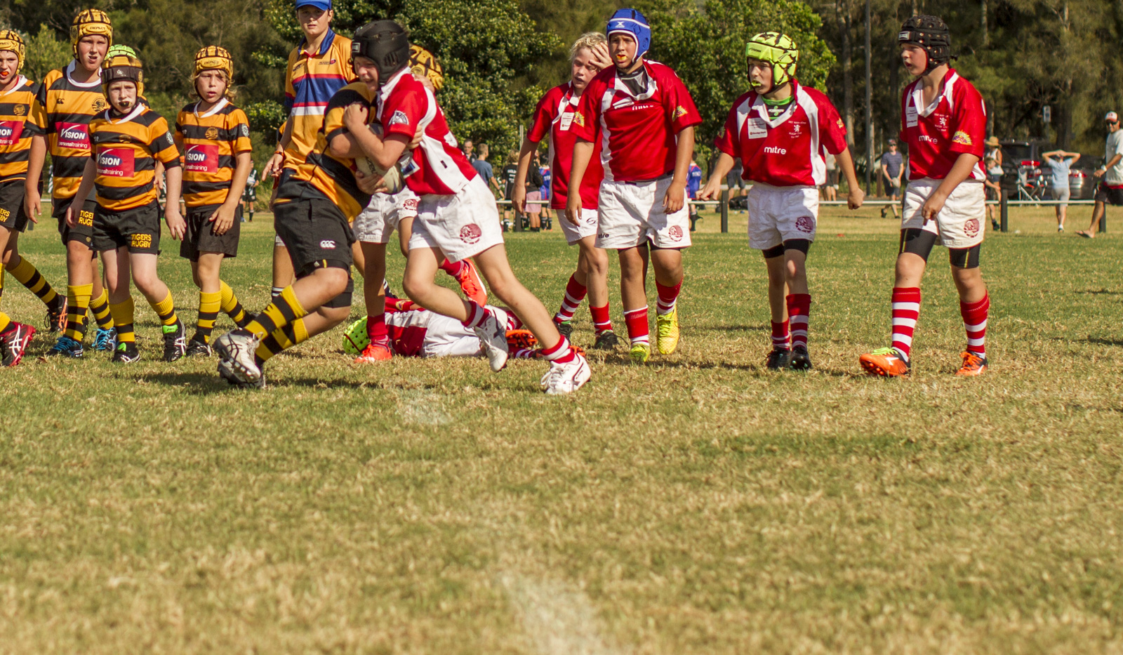 Juniors – Dee Why Lions Rugby